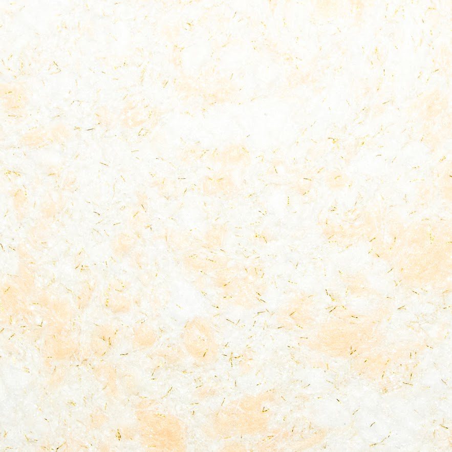 Prestige Collection - Silk Plaster